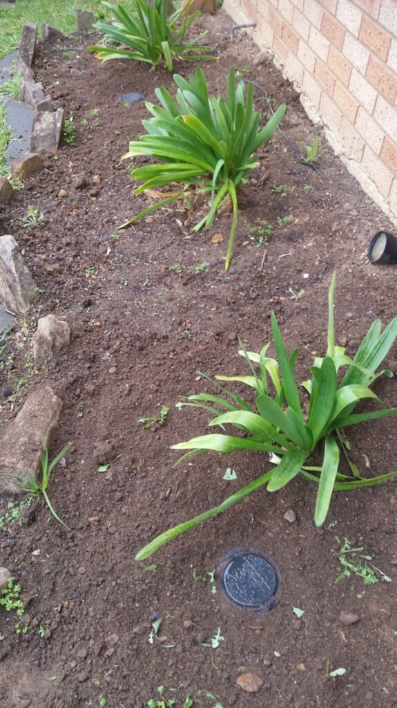 Termite Control | Senior Pest Management | Campbelltown